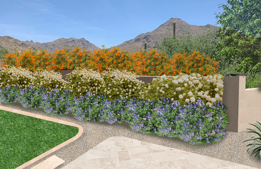 Explore Our Landscaping Portfolio Through Interactive Virtual Tours