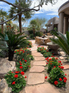 North Scottsdale, Paradise Valley, and Phoenix Landscape Design